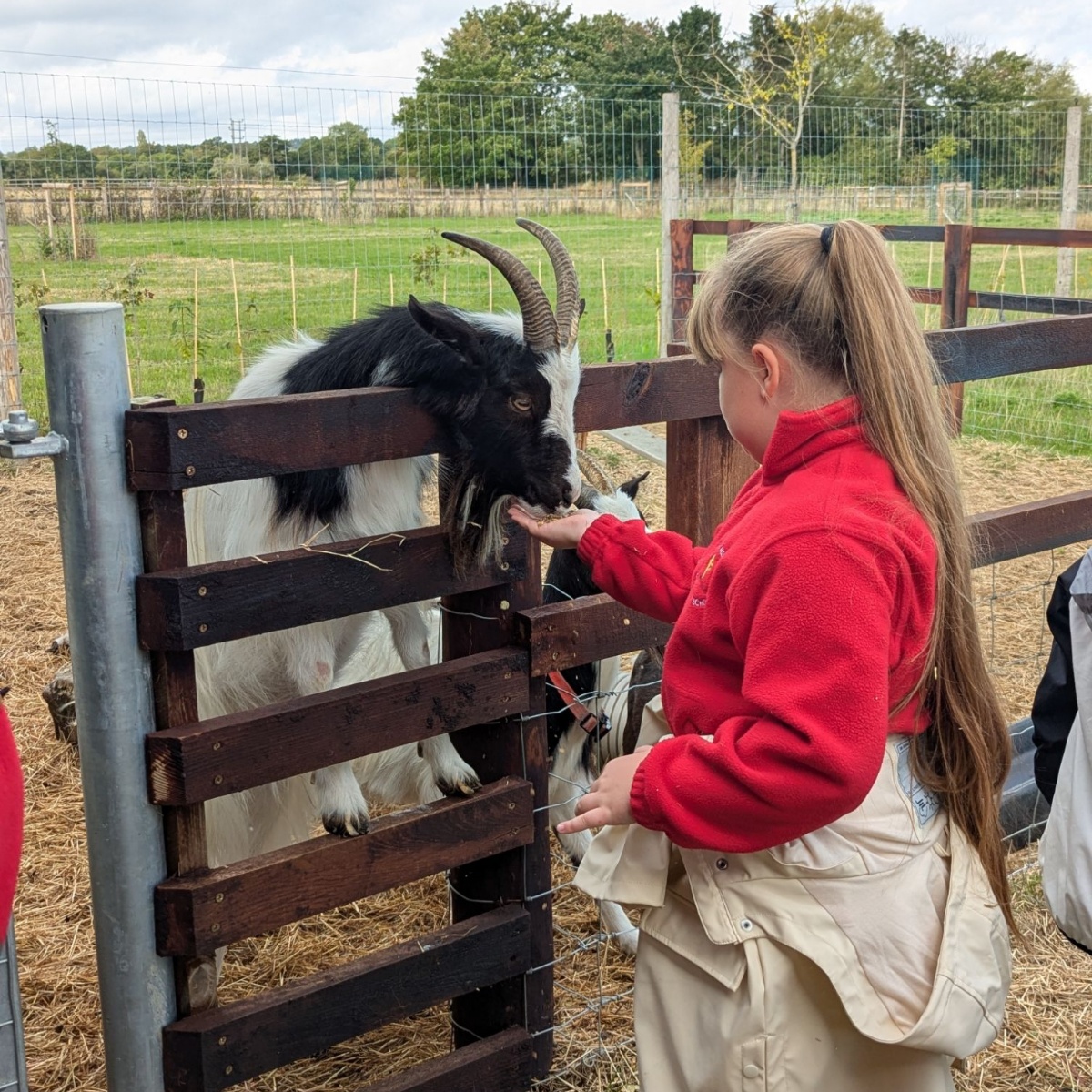 St John Fisher Catholic Primary School - Radley Countryside Project